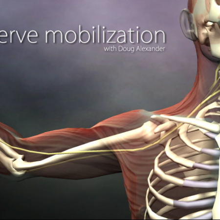 Nerve Mobilization for the arm DVD video - Real Bodywork