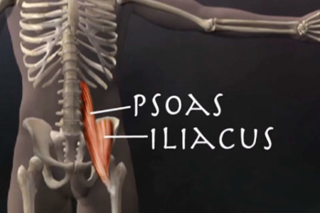 Lesson 9. Psoas - Real Bodywork
